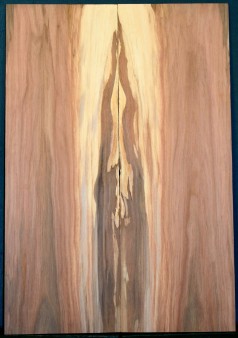 Electric guitar wood, Guitar top, Body wood - Products