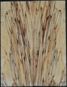 Spalted Beech - Electric guitar wood