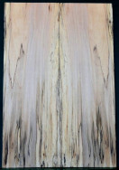 Spalted Maple, Spalted maple guitar top - Electric guitar wood